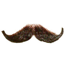 Small English Mustache